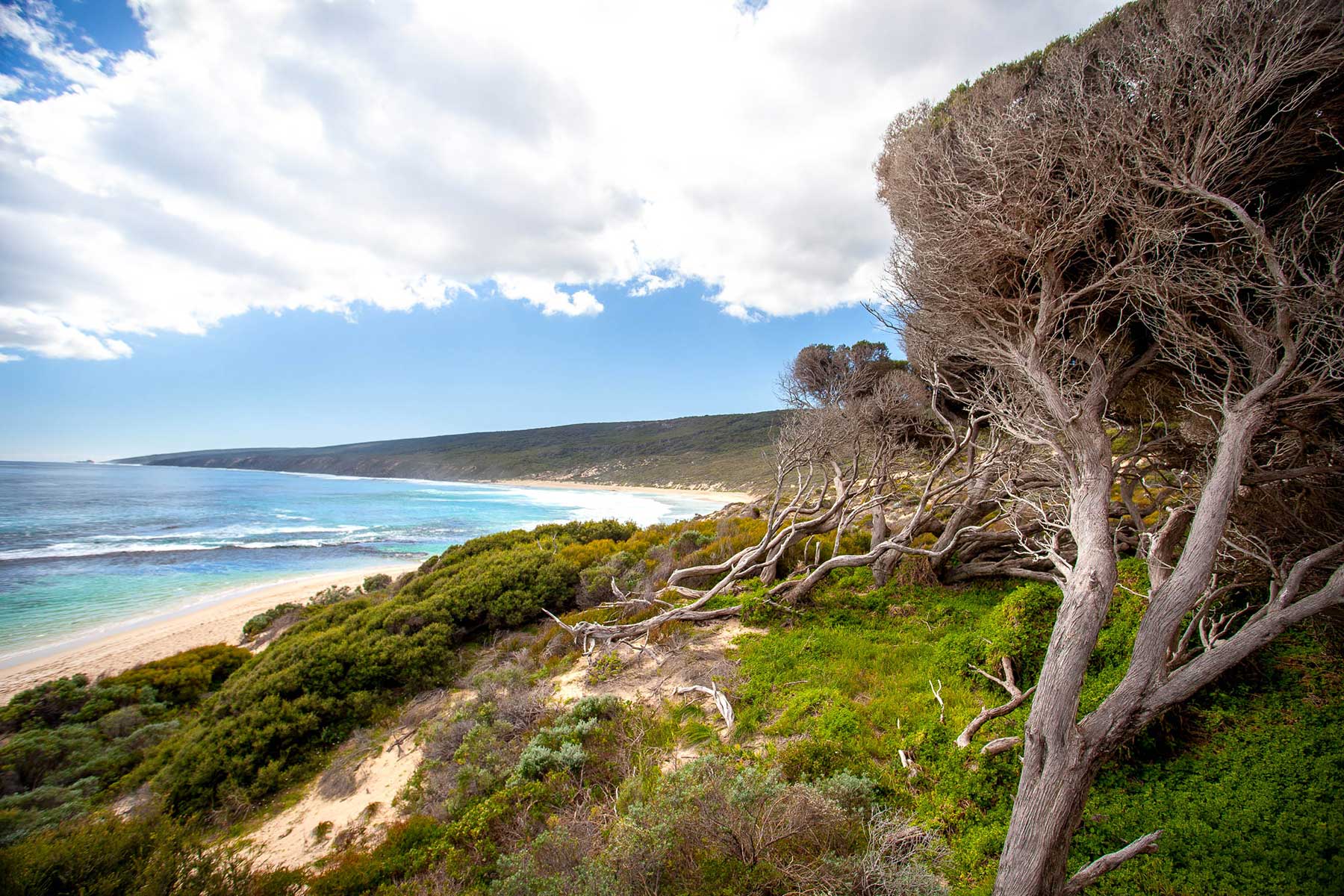 Twilight | Yallingup Holiday Home | Book Online